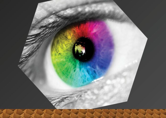 Falconboard | Packaging Corporation of America