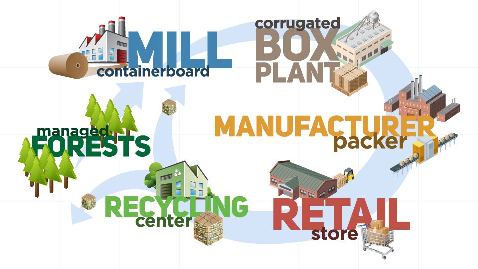 Life Cycle of a Corrugated Box | Packaging Corporation of America