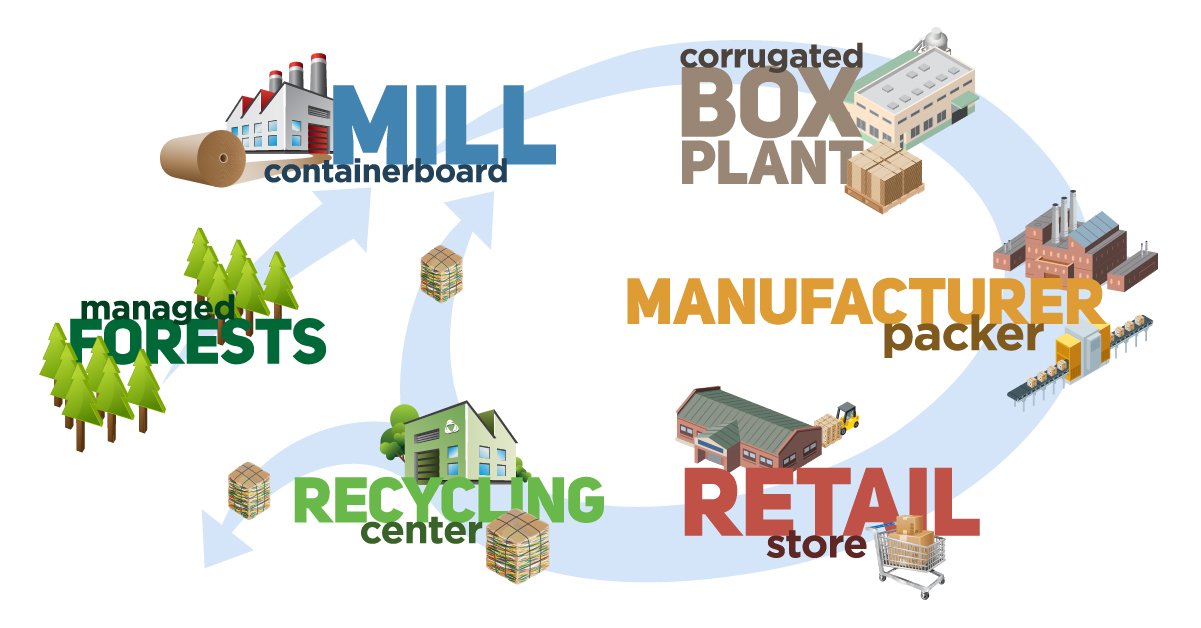 Life Cycle of a Corrugated Box | Packaging Corporation of America