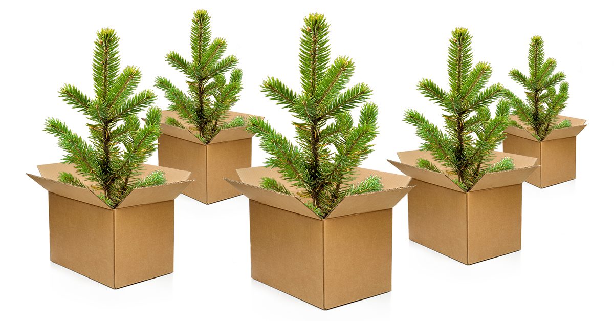 Sustainable—From Start to Finish | Packaging Corporation of America